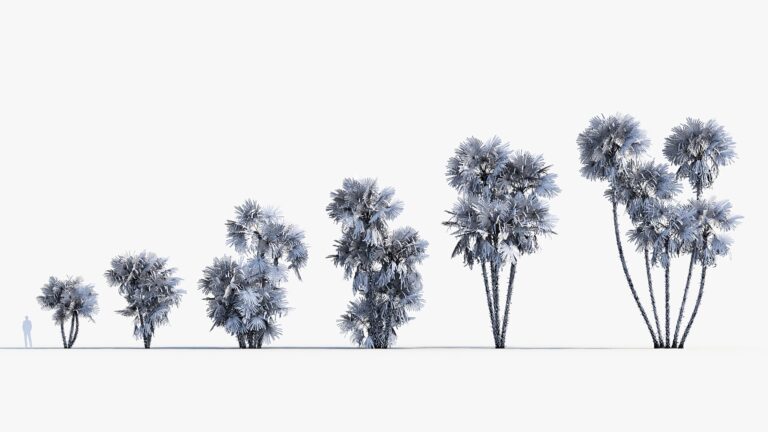 Acoelorrhaphe wrightii – Everglades palms 3D Model – Free 3D model for ...