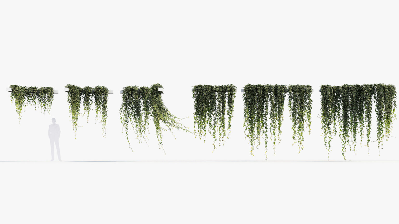 English ivy – Hedera helix 3D Model 02 – Free 3D model for design.