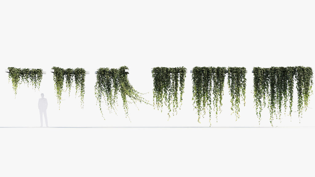 Plant Package 12 – Hang&Vine – Free 3D model for design.