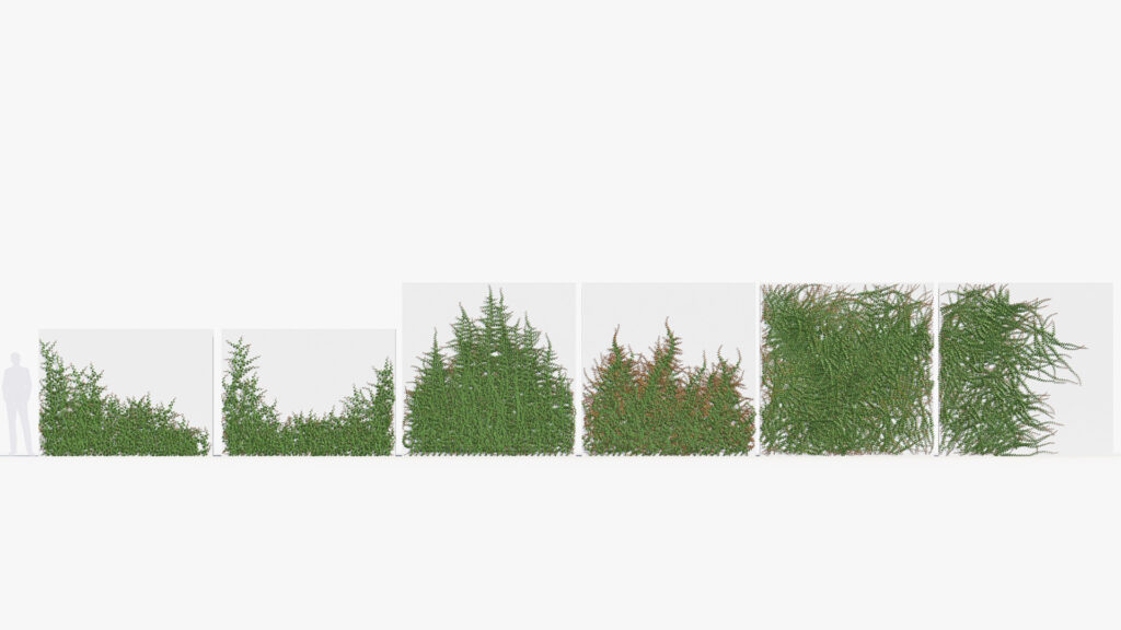 Plant Package 12 – Hang&Vine – Free 3D model for design.
