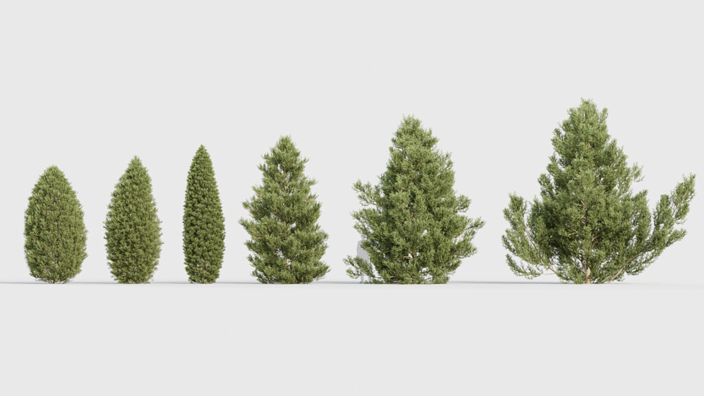 Plant Package 03 – Conifer – Free 3D model for design.