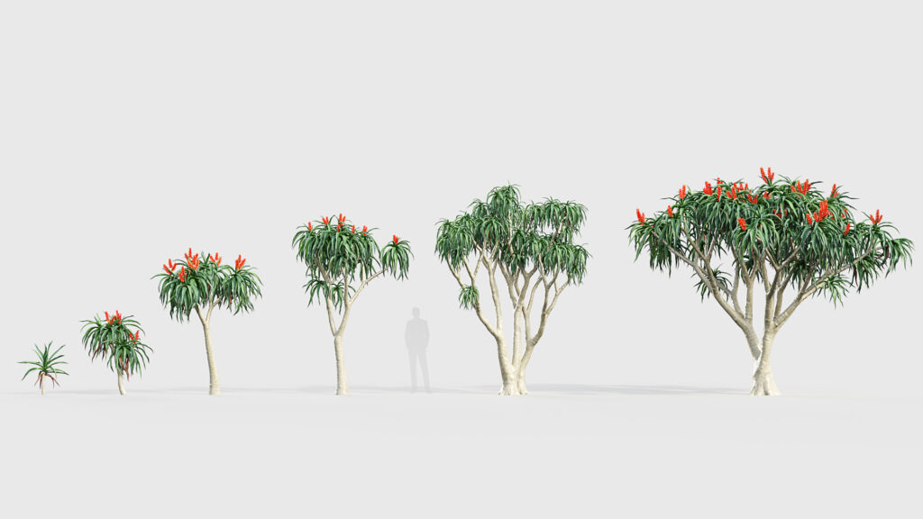 Plant Package 15 – Tropical Plants – Free 3D model for design.