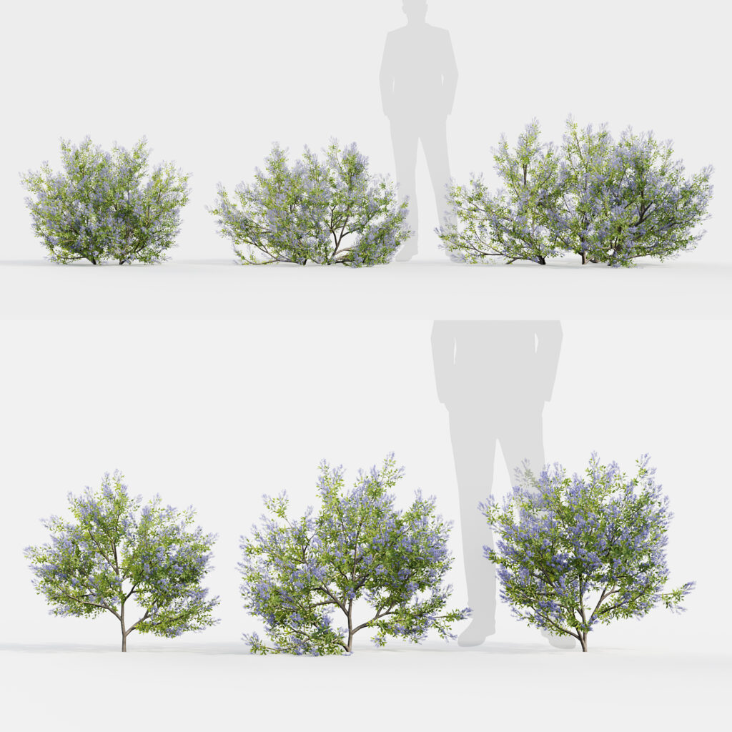 Plant Package 17 – Shrub – Free 3D model for design.